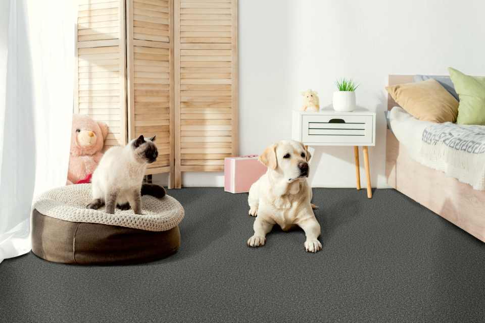 Waterproof Flooring Explained | Carpet One Floor & Home