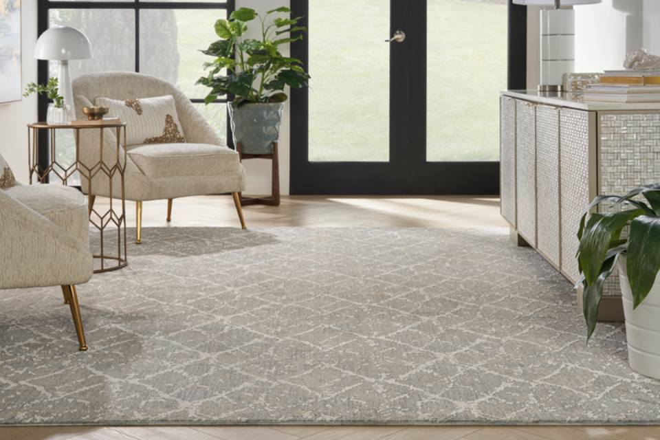 Expressive Carpets & Area Rugs | Carpet One Floor & Home