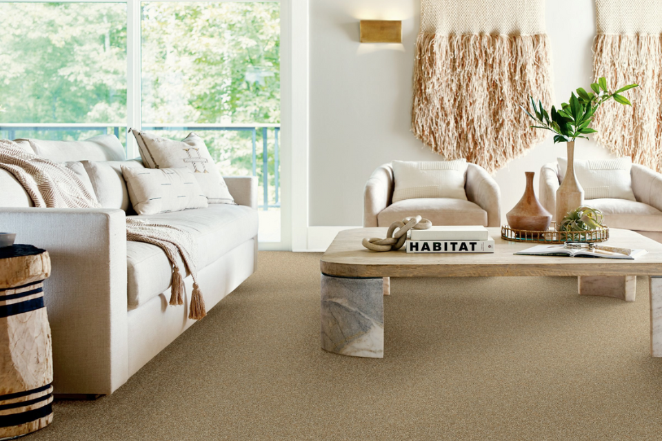 Different Types of Carpet at Carpet One Floor & Home
