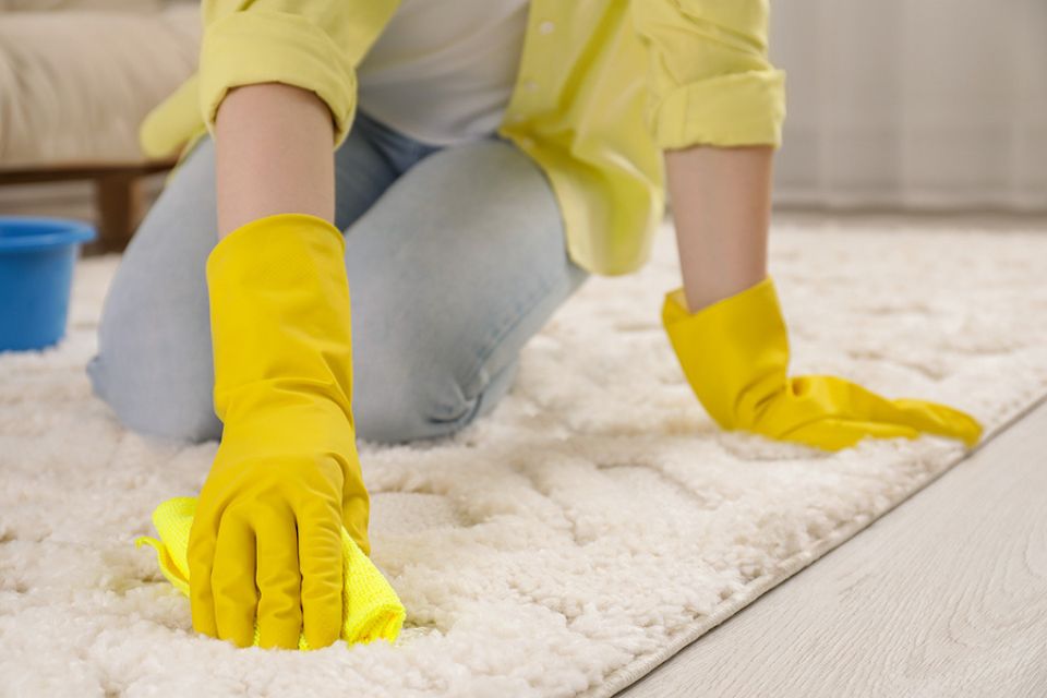 Nausea No More: How to Get Vomit Out of Carpet | Carpet One Floor & Home